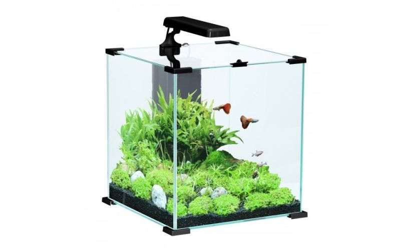 Poissons : comment bien choisir son aquarium